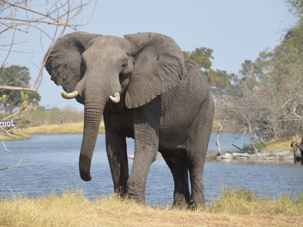  Postgres Nginx 
